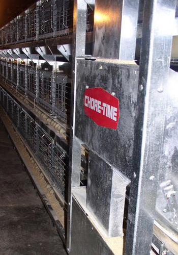 Poultry hopper feeder - choretime - polyvinyl chloride / multi-access