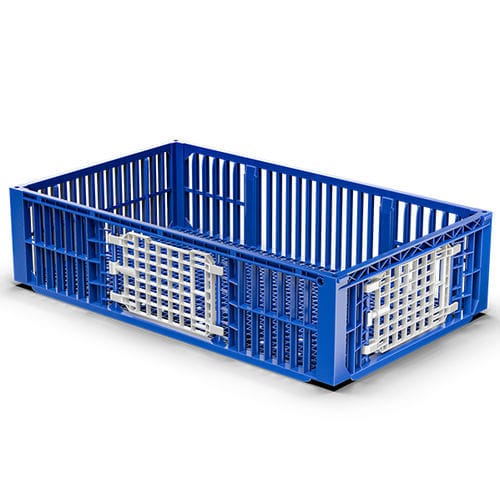 Chicken transport cage - 0106013 - Giordano Global - plastic