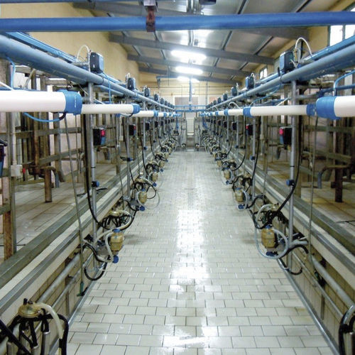 Cow milking parlour - Delmer SRL - tandem / automatic entrance and exit ...