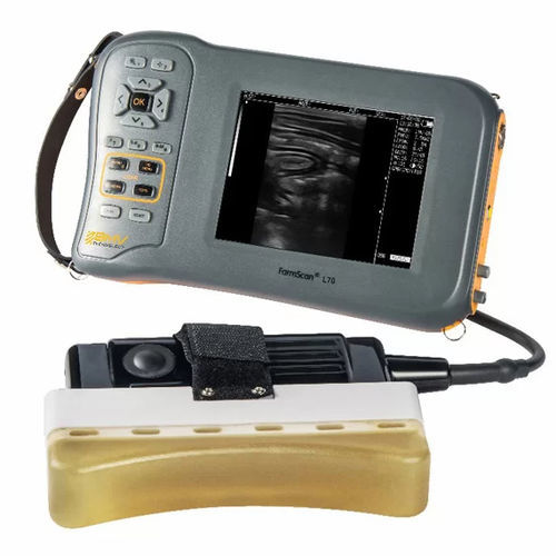 Portable veterinary ultrasound system - L70 - bmv-vet - for cattle ...