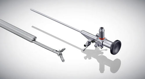 Rigid veterinary endoscope - 67031BA - KARL STORZ ENDOSKOPE - for small ...