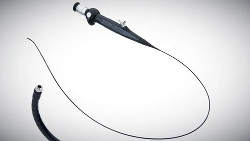 Flexible veterinary endoscope - KARL STORZ ENDOSKOPE - for small ...