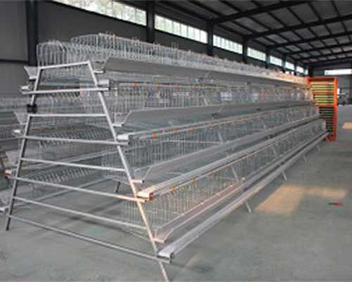 A rearing cage - Vijay Raj - multi-tier / with manure removal system ...