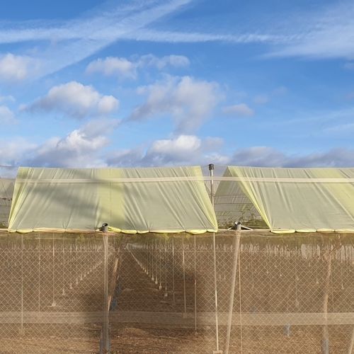 Thermal protective cover - SOLGRAPES - Solplast S.A. - recyclable