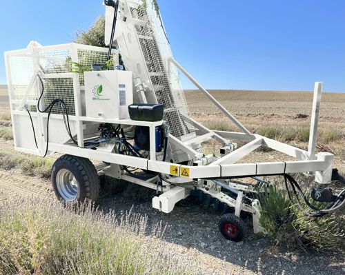 Dill harvester machine - LPA - M.M.E - herb / tea / flower