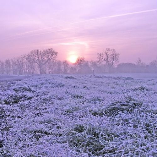 Weather data analysis software - SATGARDEN - data display systems ...