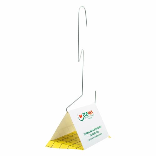 Insect trap - JACKSON - SANIDAD AGRICOLA ECONEX S.L. - glue