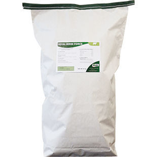 Animal feed supplement - ROYAL HERBE FORCE - NUTRI-CONCEPT - cattle ...
