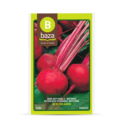 Edible beet seed - 7260 - BAZA Seeds Holland b.v. - red / round
