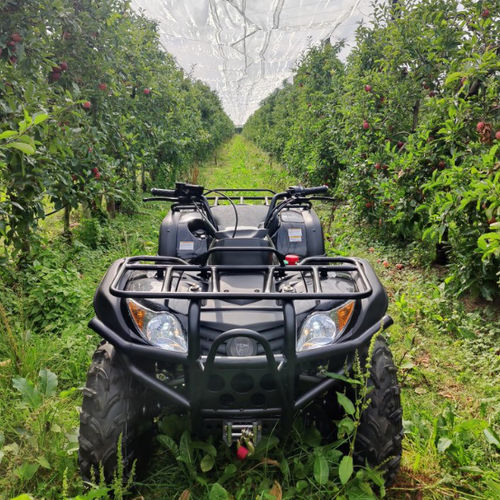 Electric quad bike - Eclaireur - Asgard Motors - 4x4 / utility / 2-person