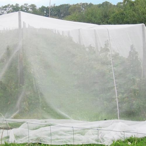 Insect netting - GLAESERgrow - wind protection / plastic / for crops