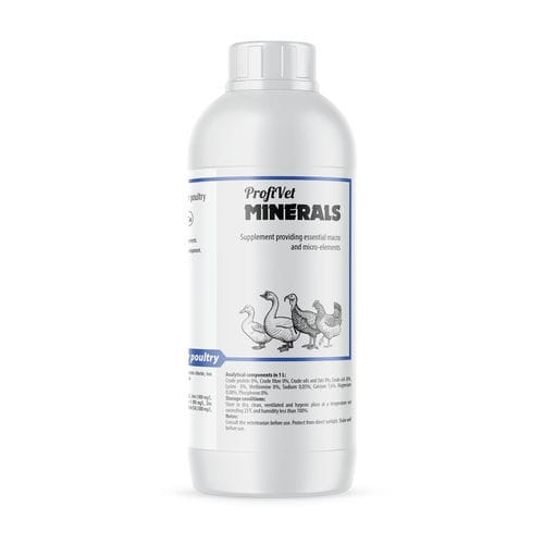 Mineral feed supplement - Trans Feed Futuro Lab Sp. z o.o. S.K.A. - for ...