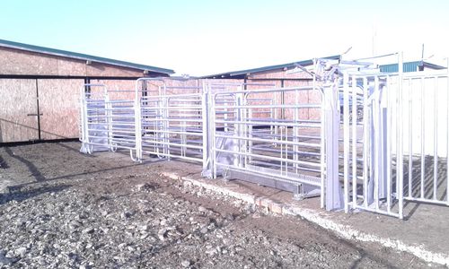 Cattle loadout - SORA6313000 - AHI - FARM CAMARA - rugged