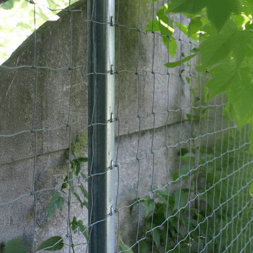 Fence post - Farmmesh - trellis / metal / vineyard