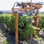 Vineyard pruning machine, Vineyard vine trimmer - All the agricultural ...