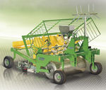 Garlic transplanter, Garlic planter - All the agricultural manufacturers
