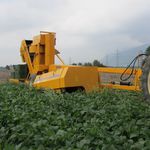 Pea harvester machine - All the agricultural manufacturers