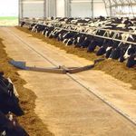 Feed pusher - All the agricultural manufacturers