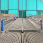 Automatic manure scraper - All the agricultural manufacturers