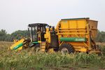 Sweet corn harvester machine - All the agricultural manufacturers