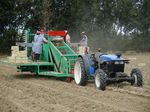 Potato harvester machine - All the agricultural manufacturers
