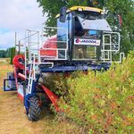 Blueberry harvester machine - All the agricultural manufacturers
