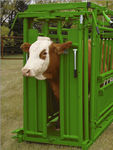 Cattle head gate - All the agricultural manufacturers