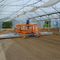 Steam weeder - LEM - CM REGERO Industries - self-propelled / electric