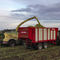 Dump trailer - GSV series - THYREGOD A/S - mounted / silage / 10 t ... 20 t
