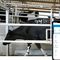 Cow sorting gate - AfiSort - Afimilk - automated