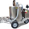 Milk pasteurizer - Condor S.r.l. - colostrum / for liquids / automatic