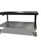 Cheese spreader table - Condor S.r.l. - stainless steel