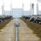 Rail-mounted feed pusher - FEEDMAX - Dairymaster