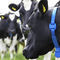 Cow monitoring system - MooMonitor+ - Dairymaster - nutrition / health ...