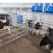 Cow sorting gate - Dairymaster - automated