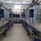 Tandem milking parlour - PANORAMA - POLANES Ltd. - for cows