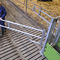 Calf maternity cage - Cuddle box - Spinder Dairy Housing Concepts - cows