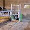 Calf maternity cage - Cuddle box - Spinder Dairy Housing Concepts - cows