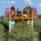 Raspberry harvester machine - 7450 - Oxbo International Corporation ...