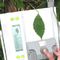 Leaf area meter - AM350 - ADC BioScientific - portable