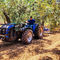 Mechanical transmission tractor - Fighter 85 RS - BCS - vineyard / 4-cylinder / compact