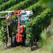 Vineyard vine trimmer - ELITE - Binger Seilzug - tractor-mounted ...