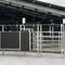 Cow sorting gate - 2600 - Waikato Milking Systems NZ Ltd. - automated