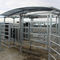 Cow sorting gate - 5500 - Waikato Milking Systems NZ Ltd. - automated