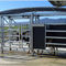 Cow sorting gate - 5500 - Waikato Milking Systems NZ Ltd. - automated