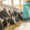Cattle feeding robot - F4500 - GEA - programmable / self-propelled