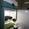 Plant growth chamber - BioSTEM - CONVIRON - for research