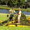 Aquatic weed harvester machine - AquaHarvester™ - Weedoo - boat