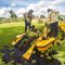 Aquatic weed harvester machine - AquaHarvester™ - Weedoo - boat