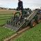 Radish harvester machine - Koppert Machines - self-propelled / multi-row